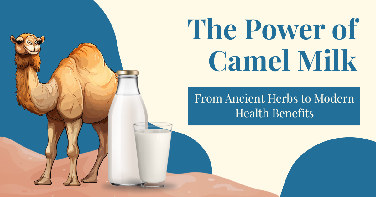 Camel Milk Benefits: The Desert Superfood for Modern Health – Aadvik Foods