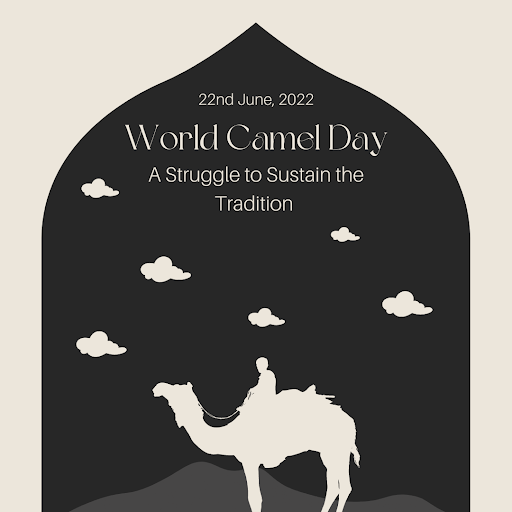 World Camel Day - A Struggle to Sustain the Tradition of Camel Herding ...